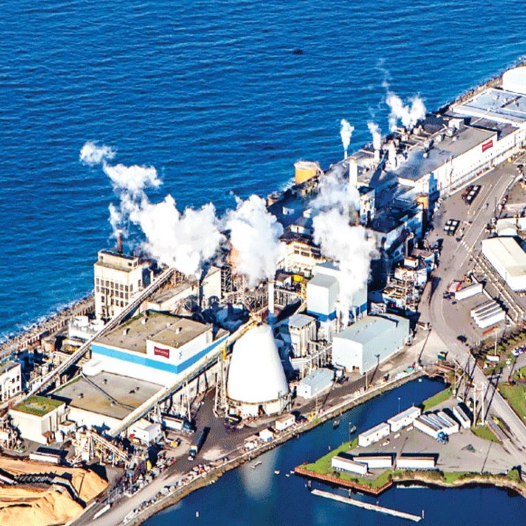 Bio Pappel - We are a world class company