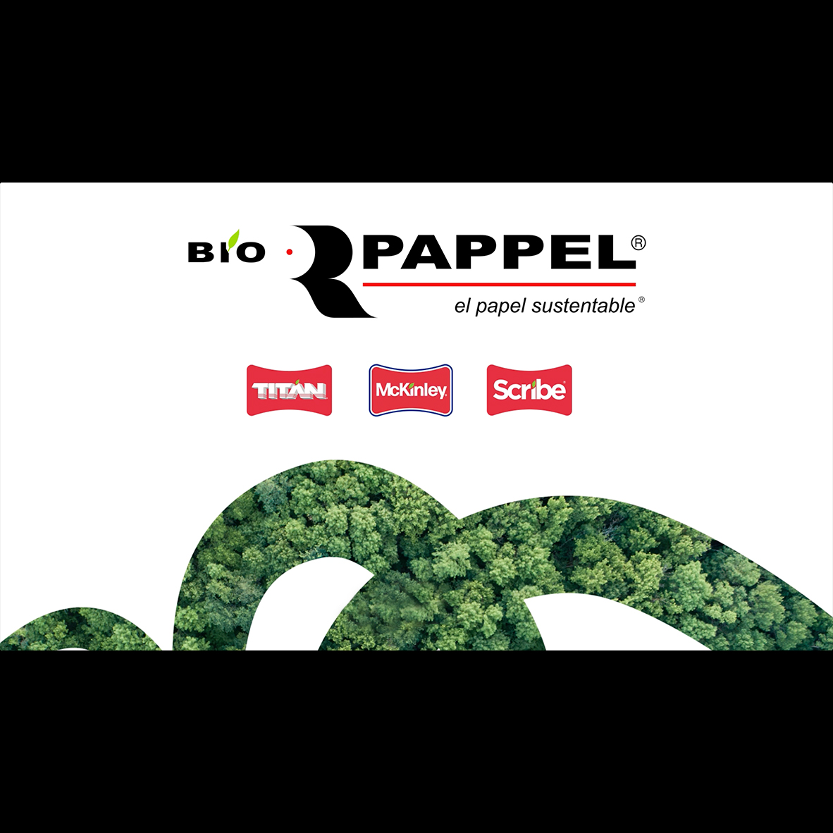 Bio Pappel - We are a world class company