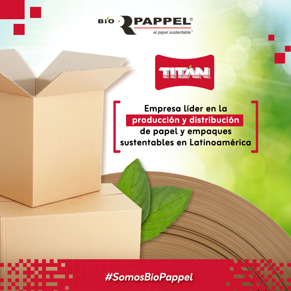 Bio Pappel - Somos una empresa internacional de clase mundial