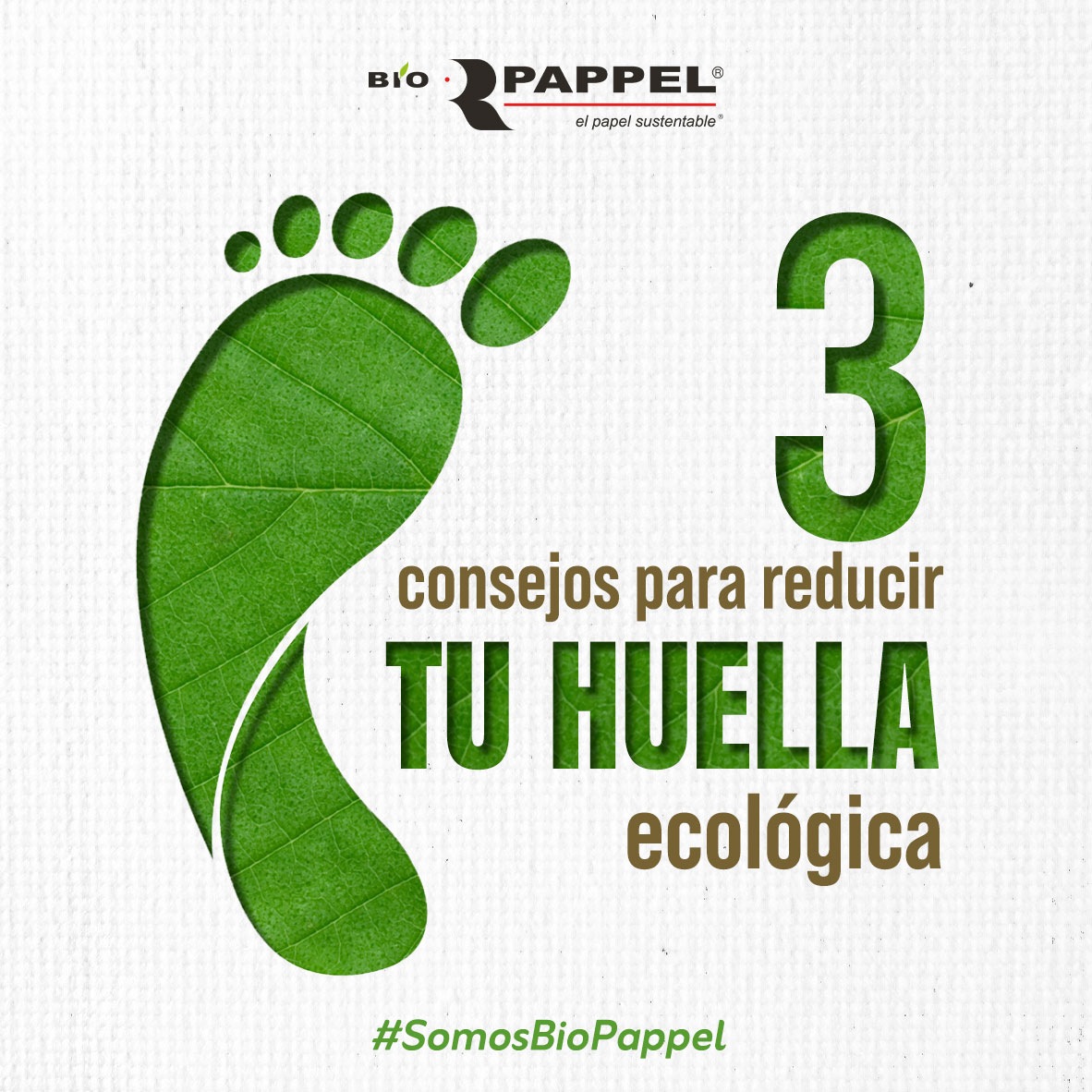 Bio Pappel - We are a world class company