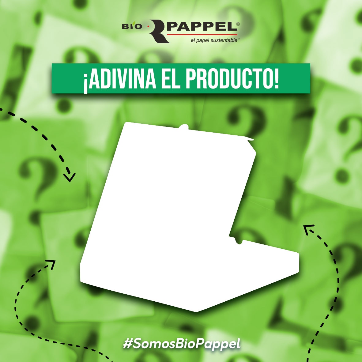 Bio Pappel - We are a world class company