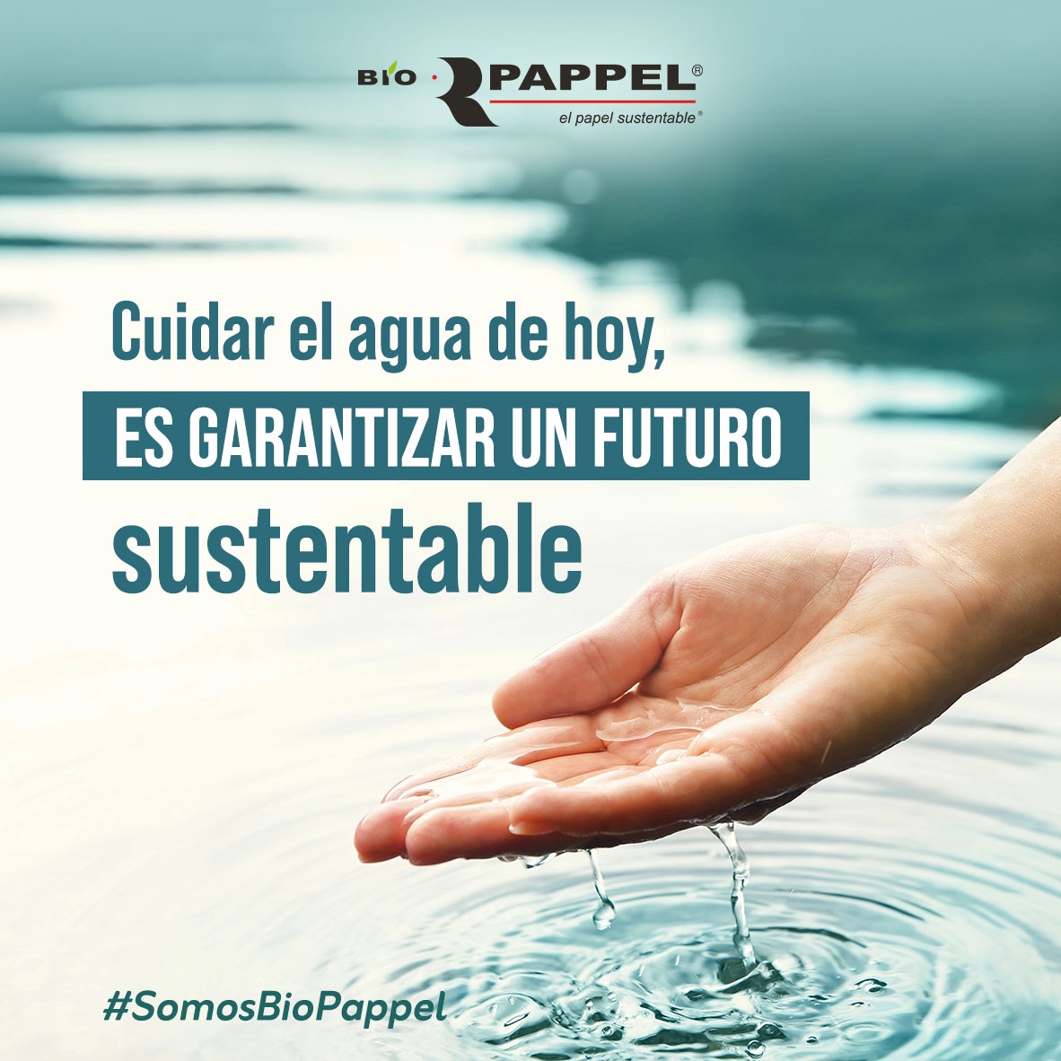 Bio Pappel - We are a world class company