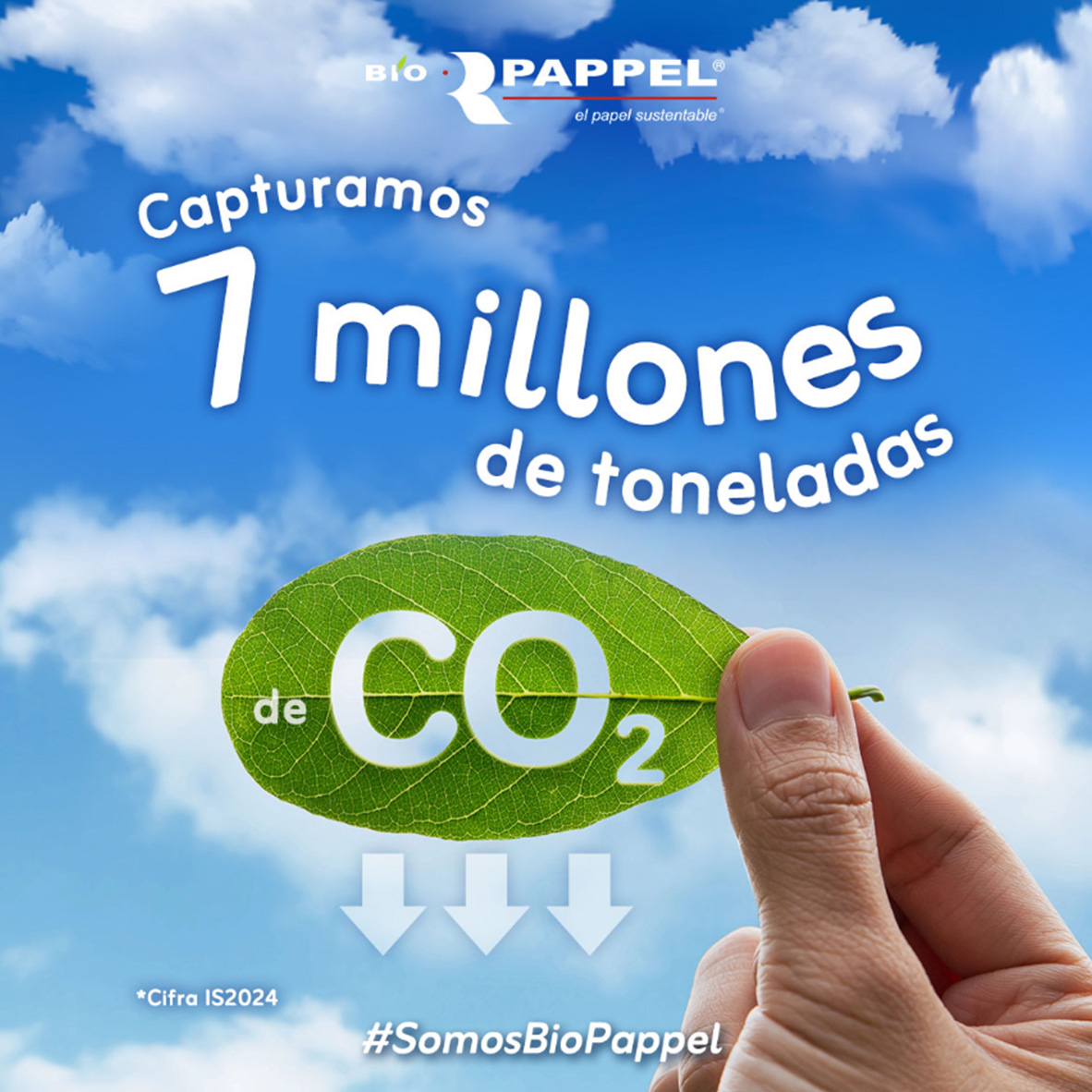 Bio Pappel - We are a world class company
