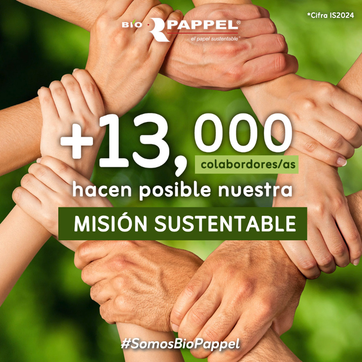Bio Pappel - We are a world class company