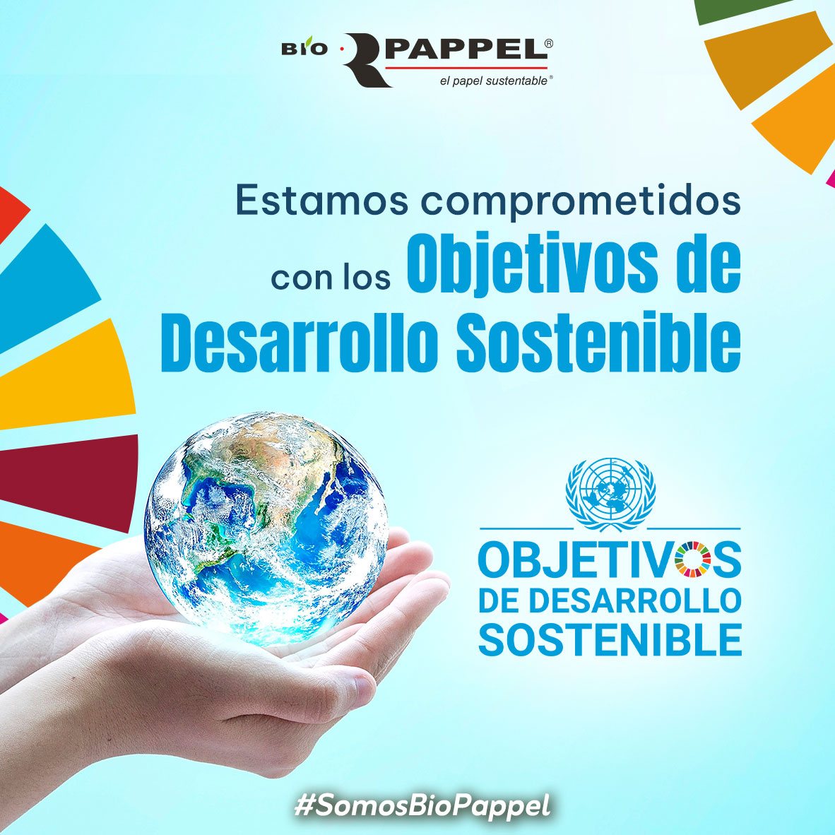 Bio Pappel - We are a world class company