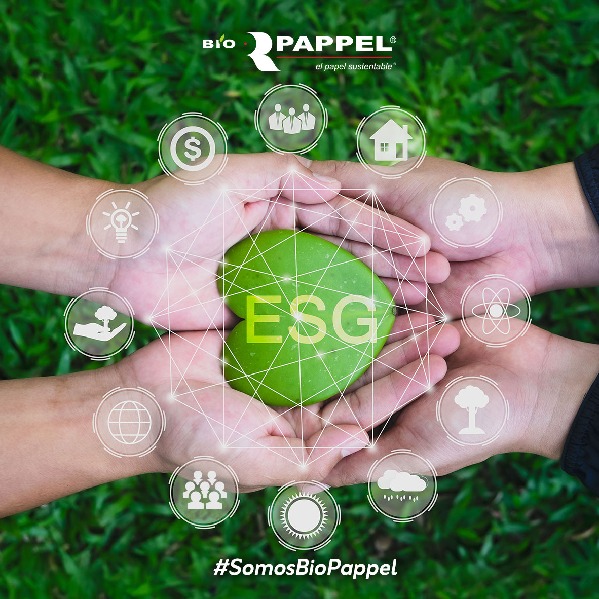 Bio Pappel - We are a world class company