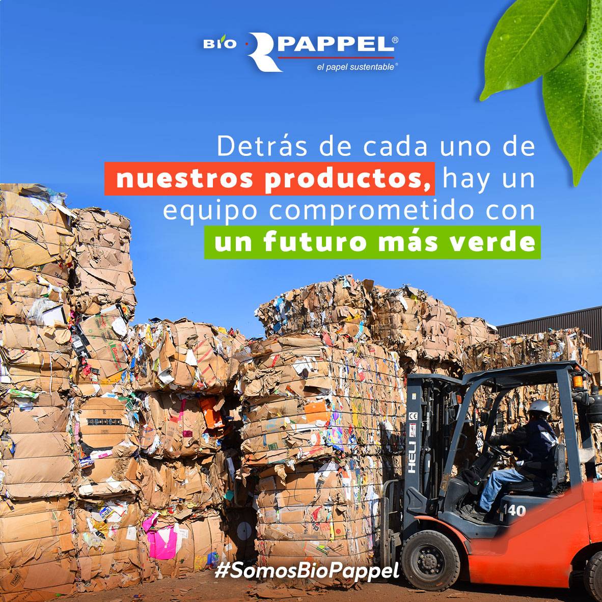 Bio Pappel - We are a world class company