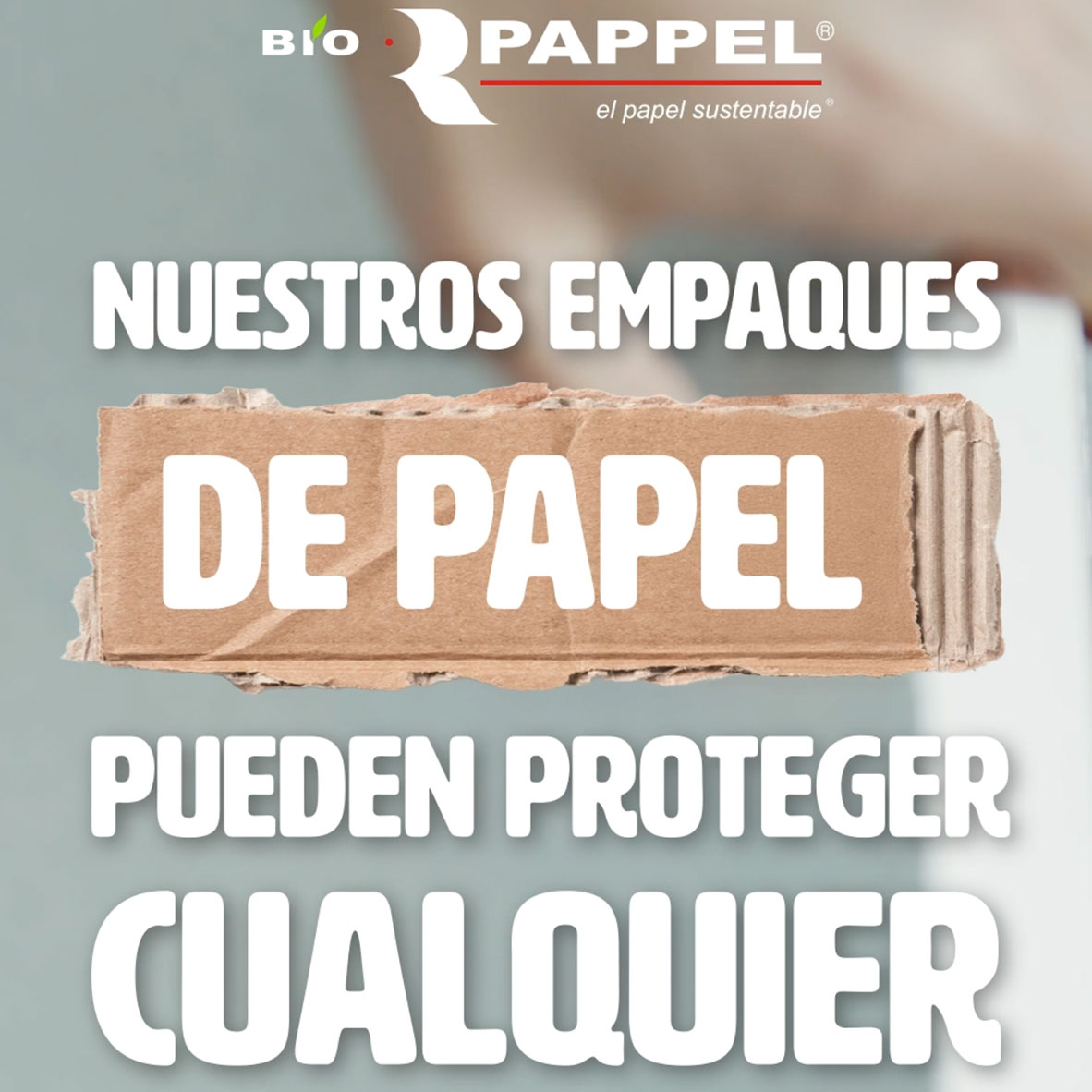 Bio Pappel - Somos una empresa de clase mundial