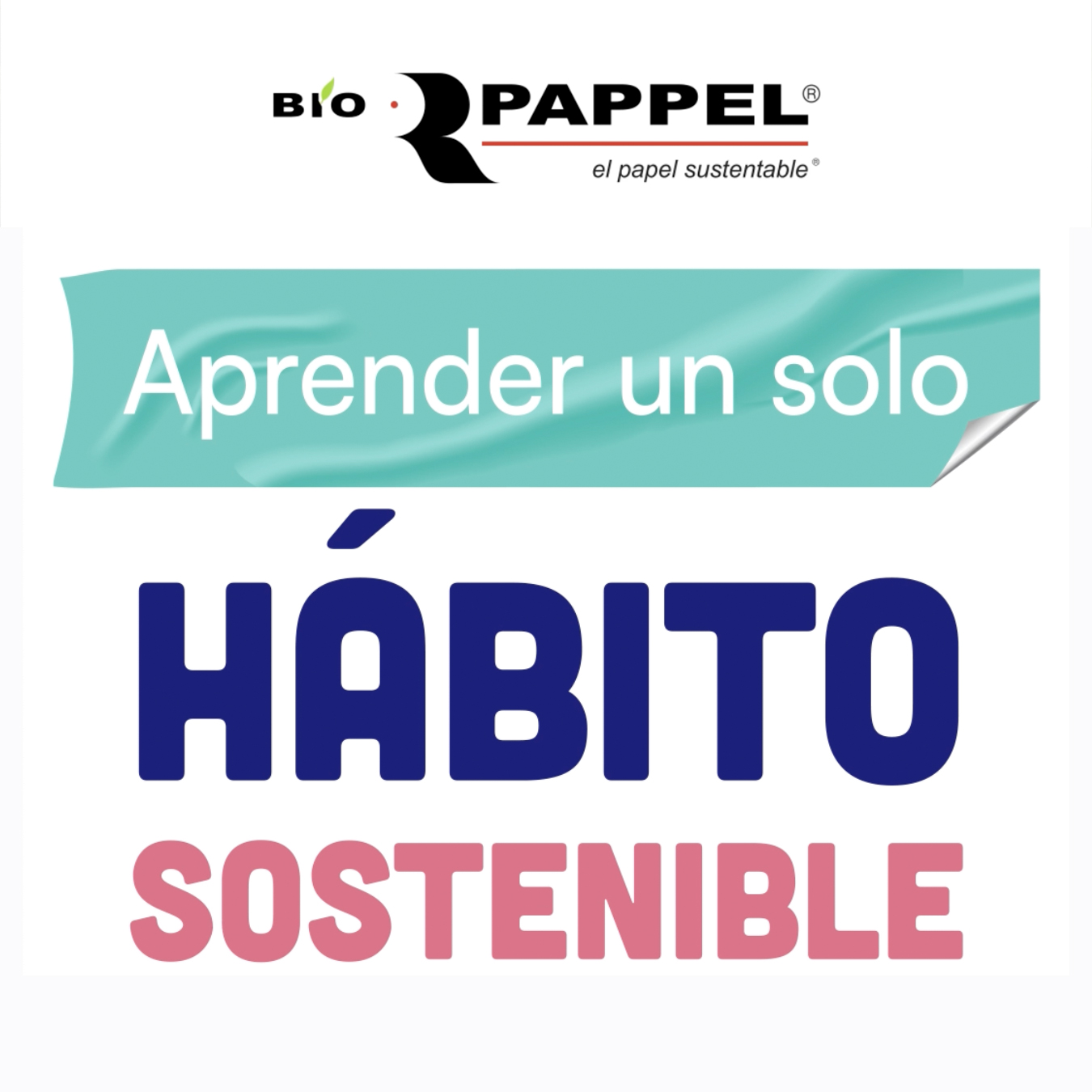 Bio Pappel - We are a world class company