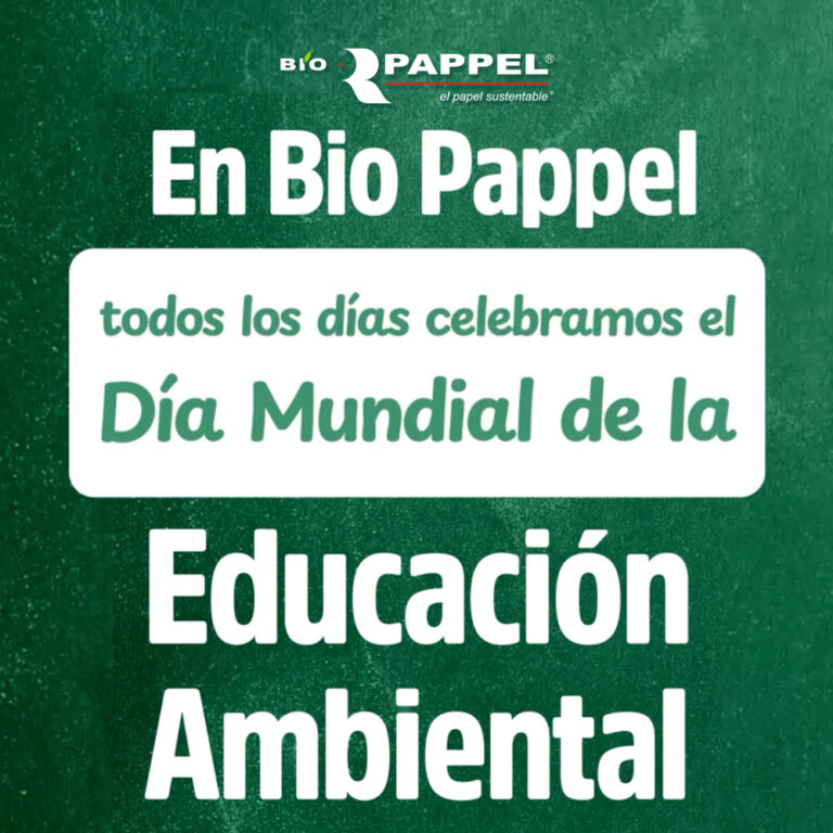 Bio Pappel - We are a world class company