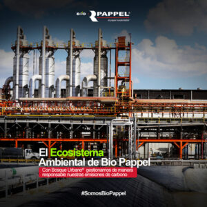 Bio Pappel - We are a world class company