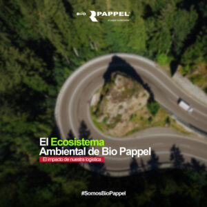 Bio Pappel - We are a world class company