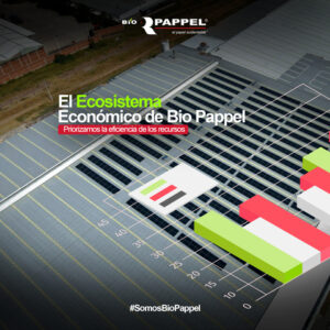 Bio Pappel - We are a world class company
